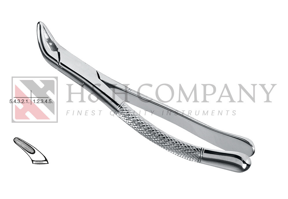 EXT FORCEP #151 LOWER UNIVERSAL