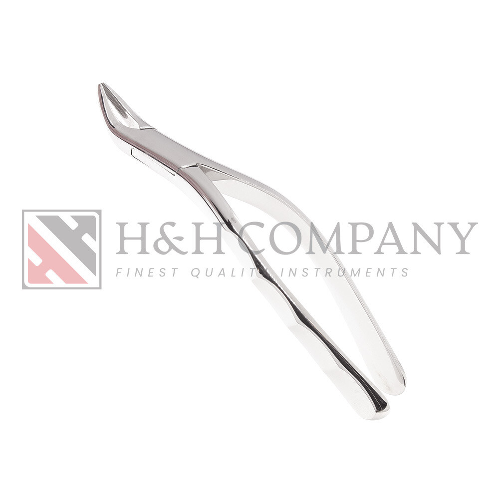 EXT FORCEP #962