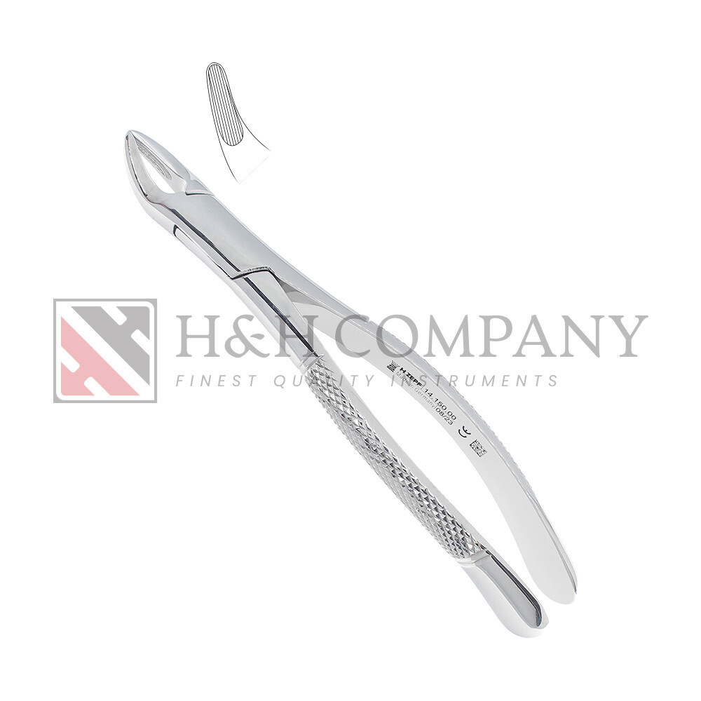 DENTAL FORCEPS, EXTRACTION FORCEP #150 UPPER UNIVERSAL