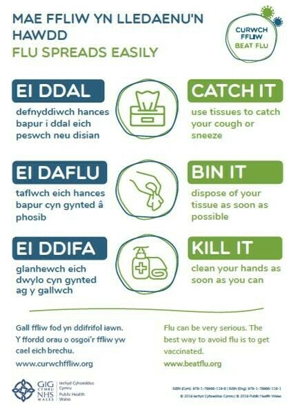 Beat flu poster/ curwch ffliw poster (Catch it Bin it Kill it/ Ei ddal ...