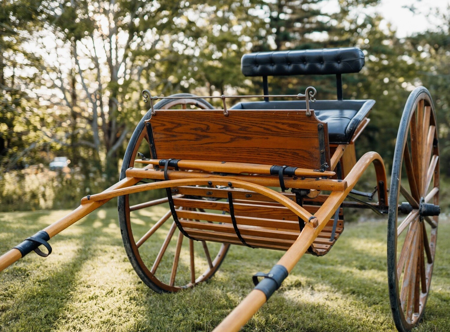 Pre-Owned Driving Equipment – Chrysalis Acres – Equipment for the ...