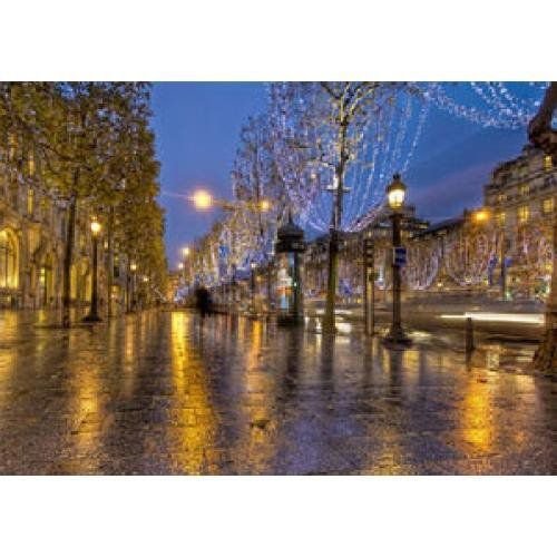 Arabica Beans Coffee - Devil Dog Brew