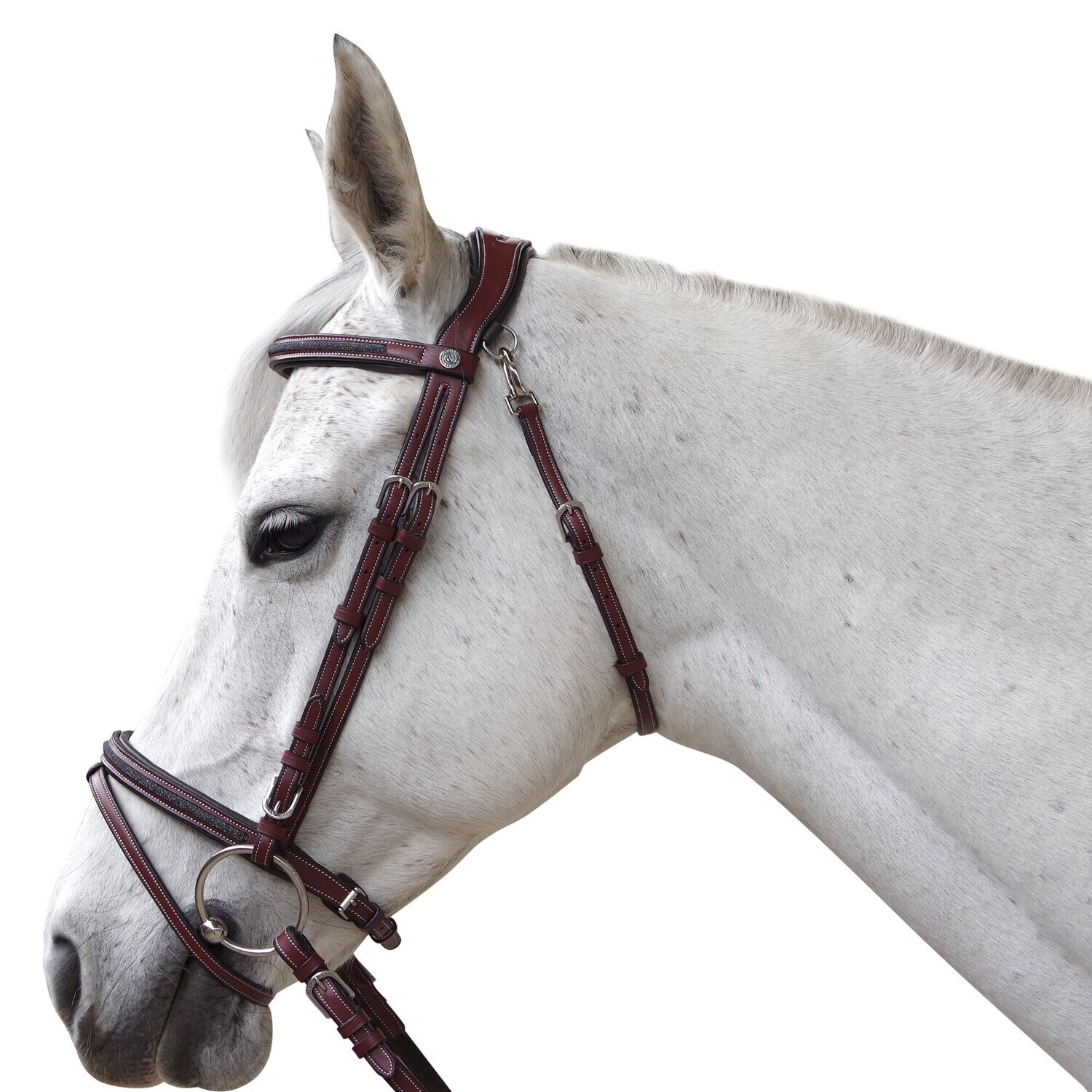 Bridon Aachen by FLAGS &CUP