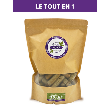 Mojo Boost immunite et performance by MOJO