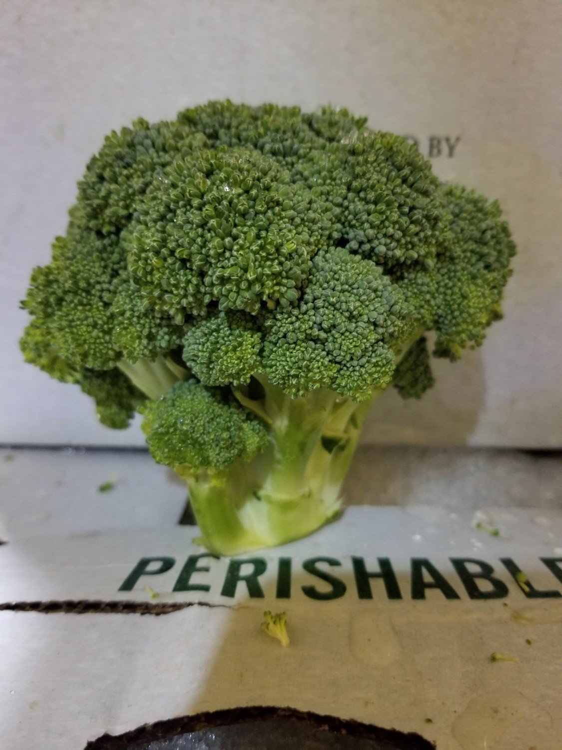 Broccoli Crown | 20 lb. Case