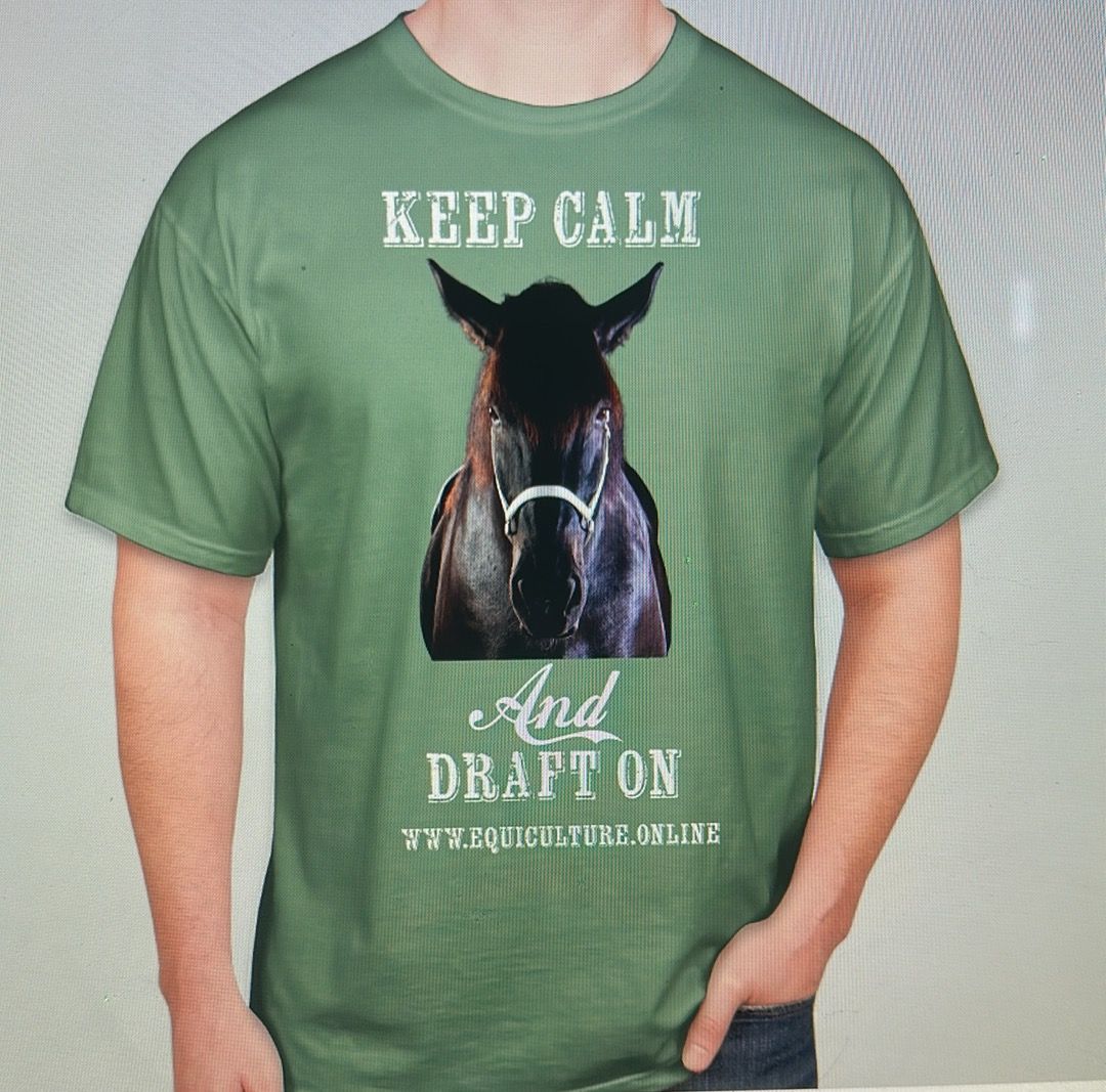 Keep Calm Draft on - T-shirt