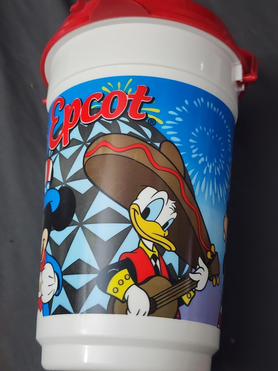 Epcot round popcorn bucket