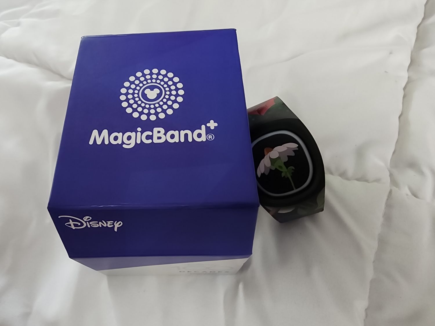 Disney Decades Alice in Wonderland magicband+