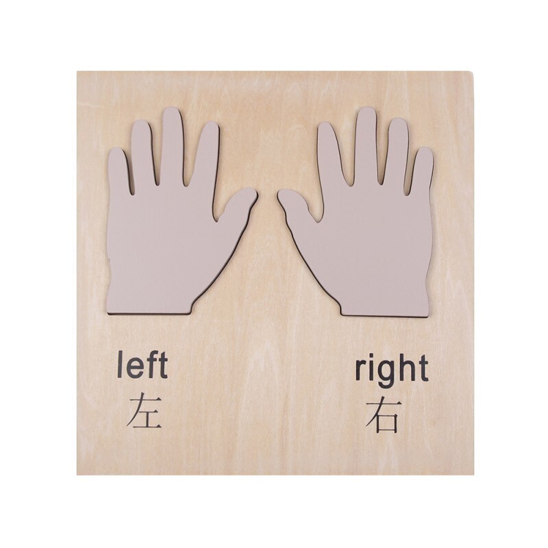 Hands (right and left) Language Chinese with English