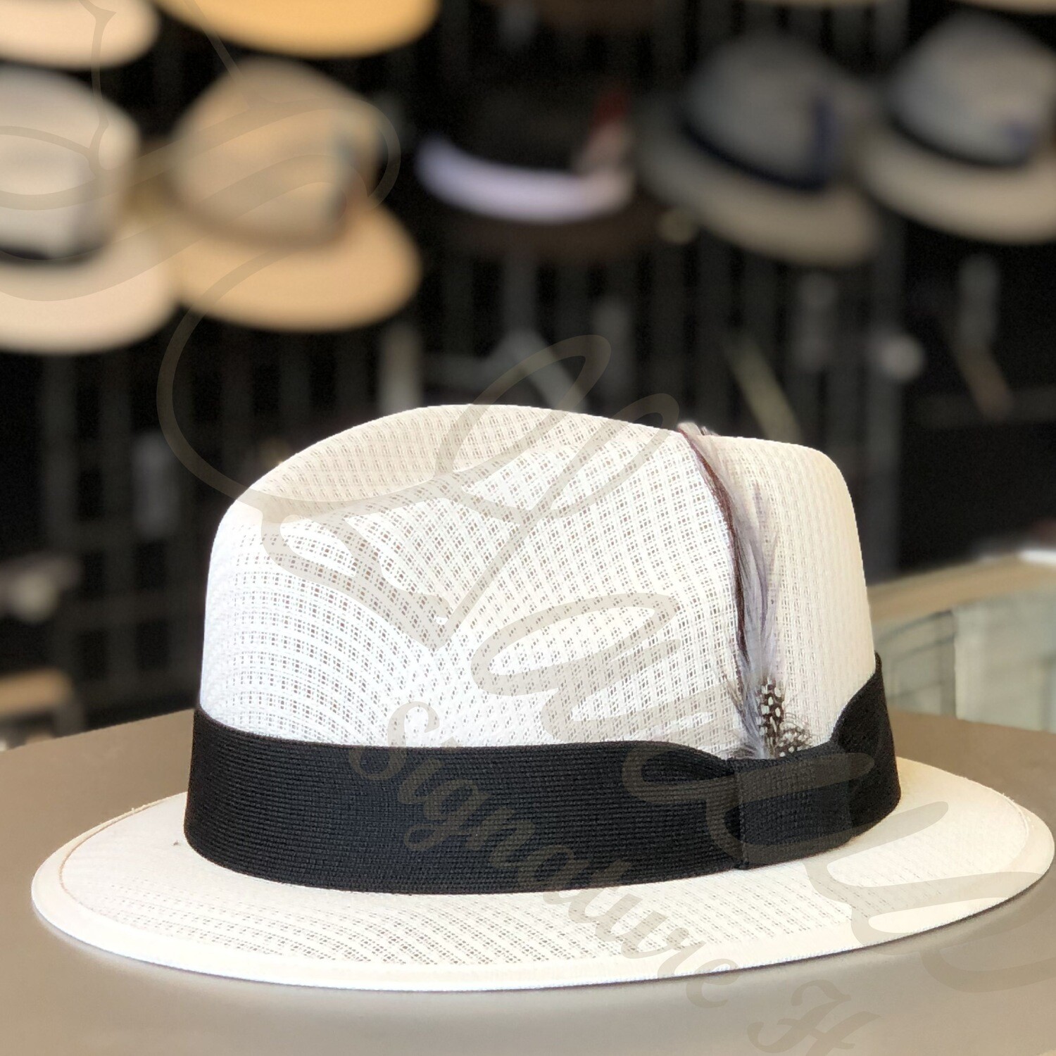 Short Brim Viejo Fedora Garcia Signature Hats