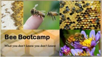 Store - Camano Island Honey at Sanctuary Farms, Stanwood, and the Skagit Valley