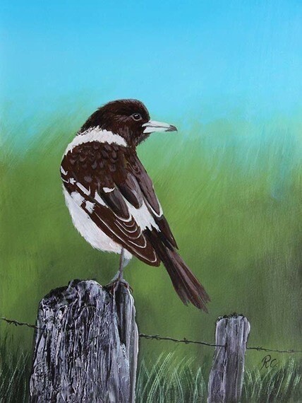 Bird painting - Butcher Bird - 30x40cm, acrylics