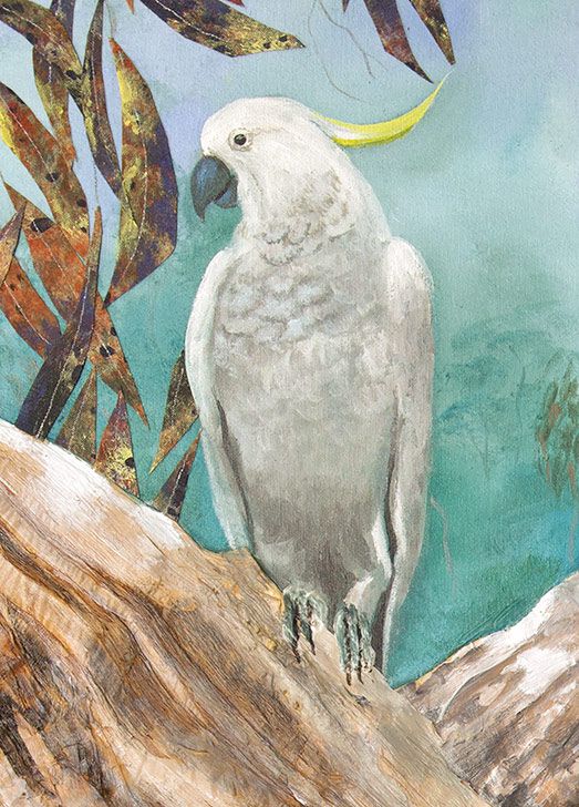 Artist prints on canvas - Australian Native Birds