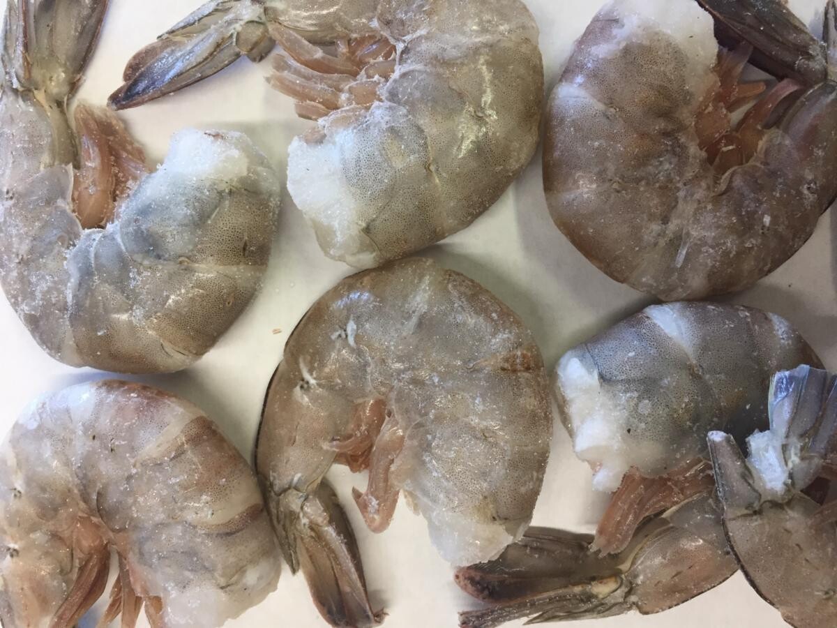 Wild Blue Prawns