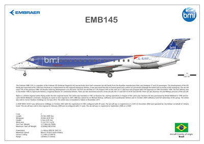 Embraer EJet Cockpit Poster - Digital Download