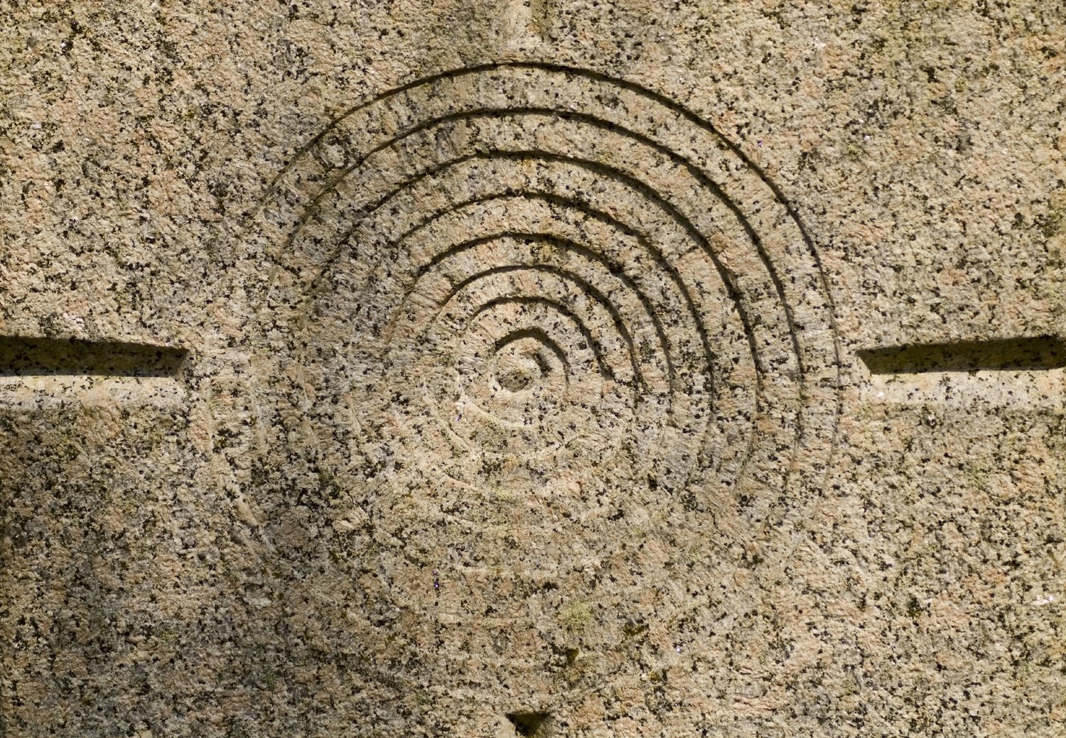 Foundation Curriculum 2014