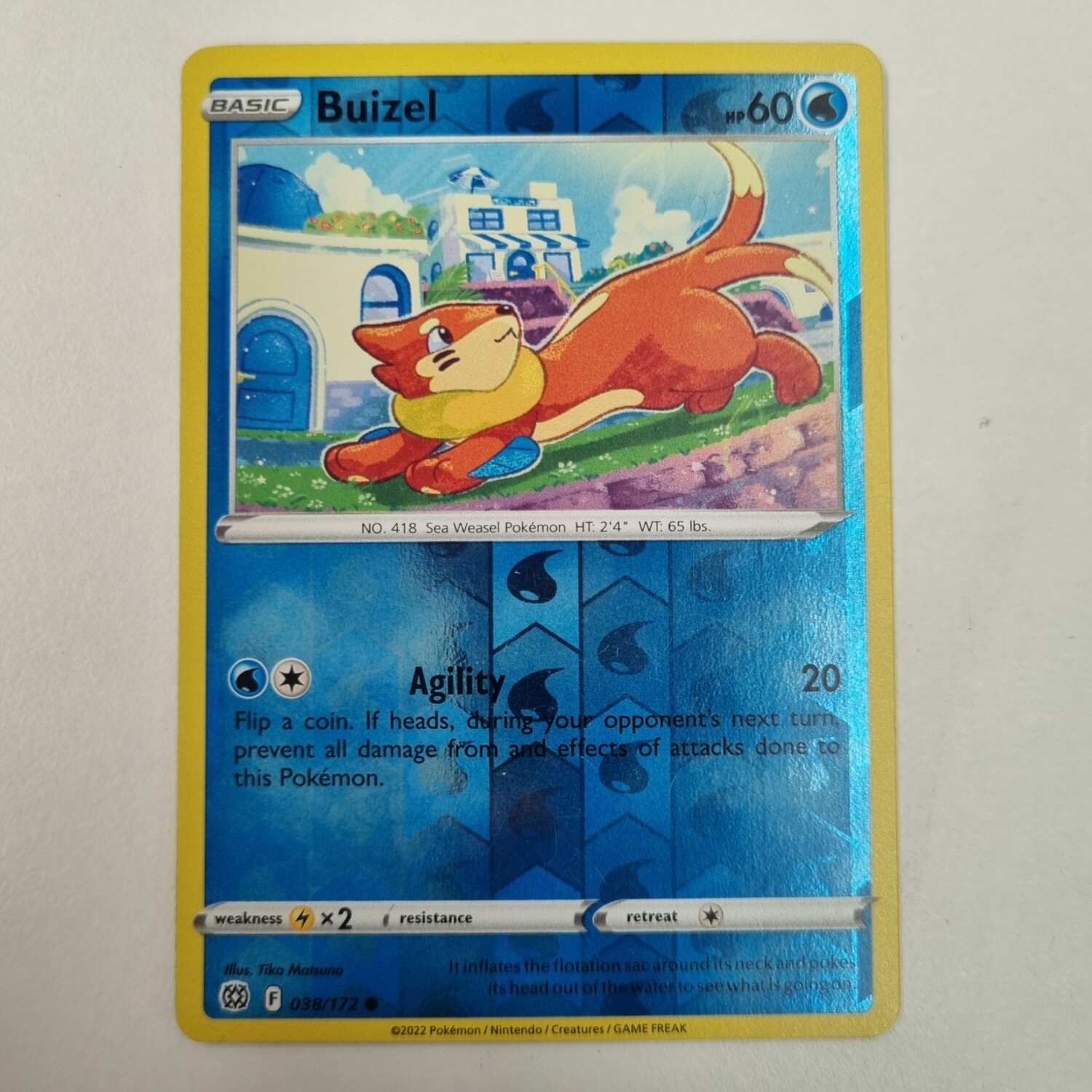 Pokemon Card- Buizel