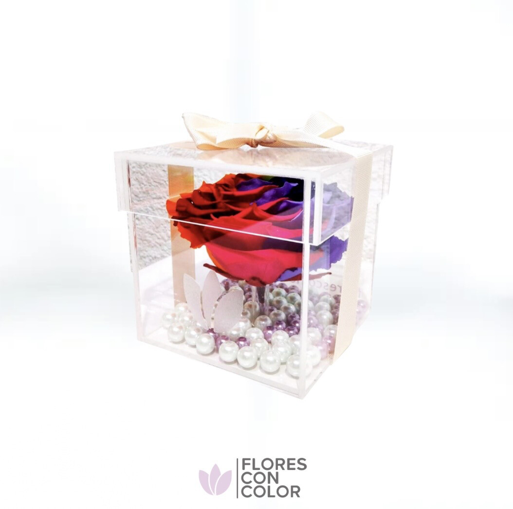 CAJA ROSA NATURAL PRESERVADA PREMIUM