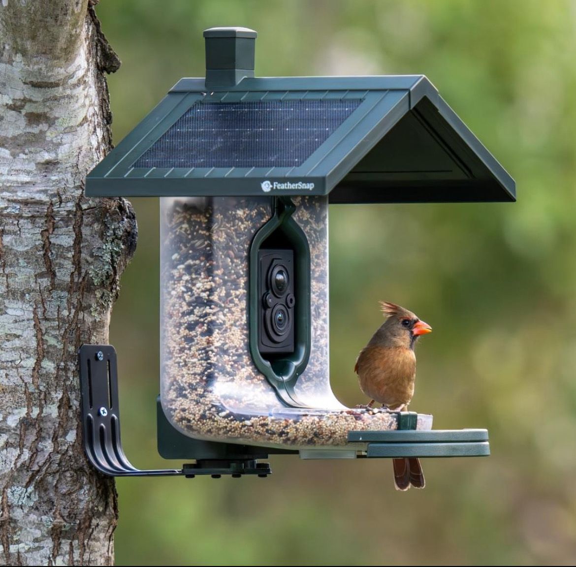 Feather Snap Smart Bird Feeders
