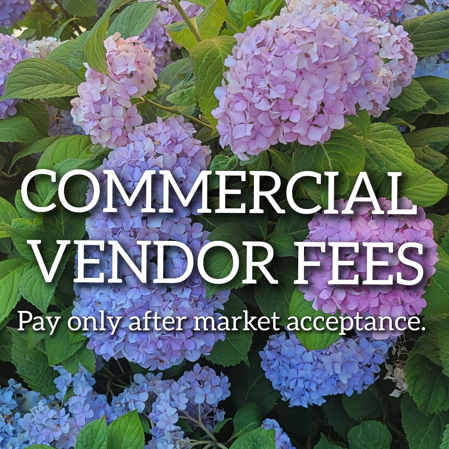 Commercial Services Vendor Fees Non-Refundable