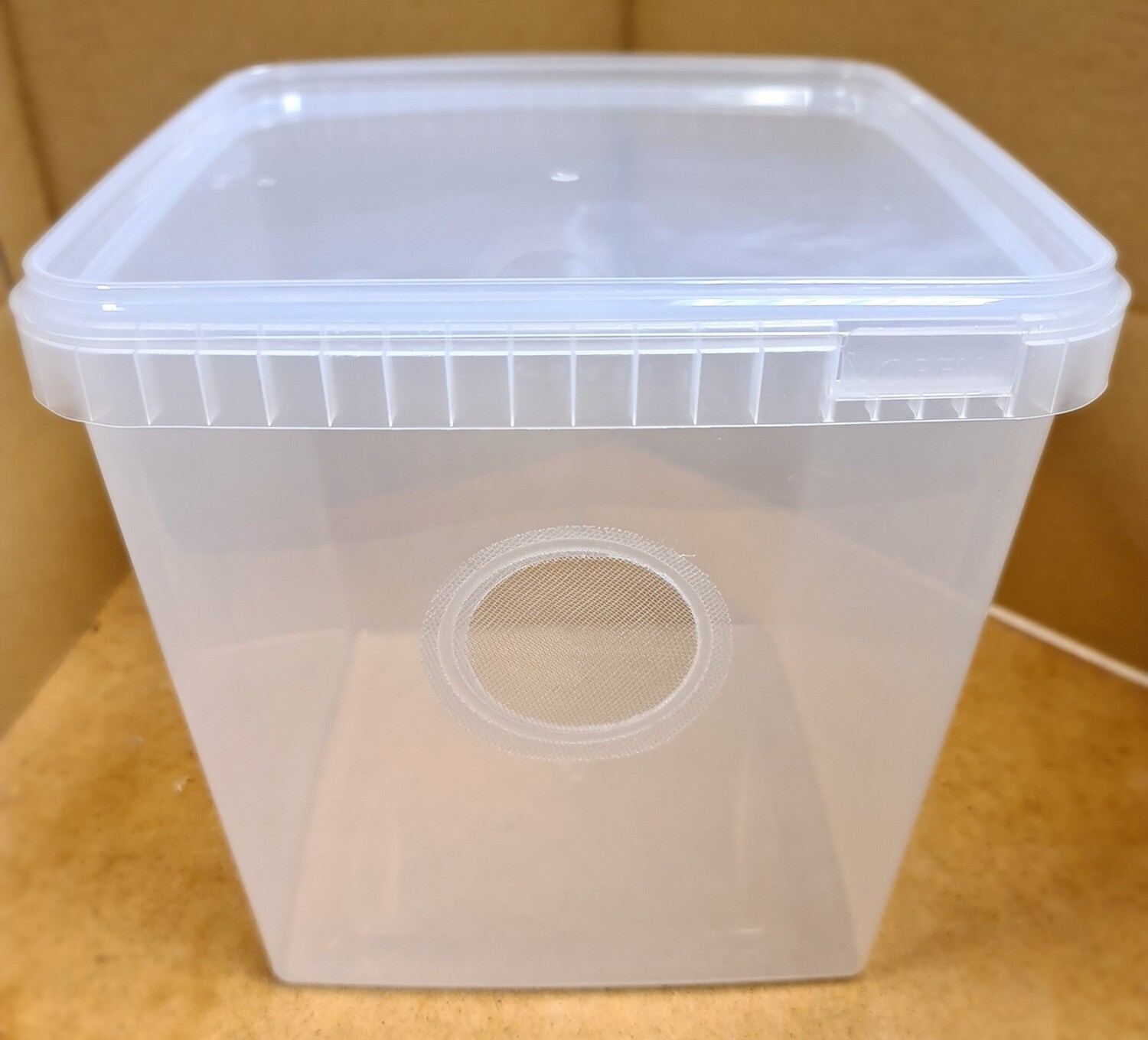 SQUARE INSECT TUBS