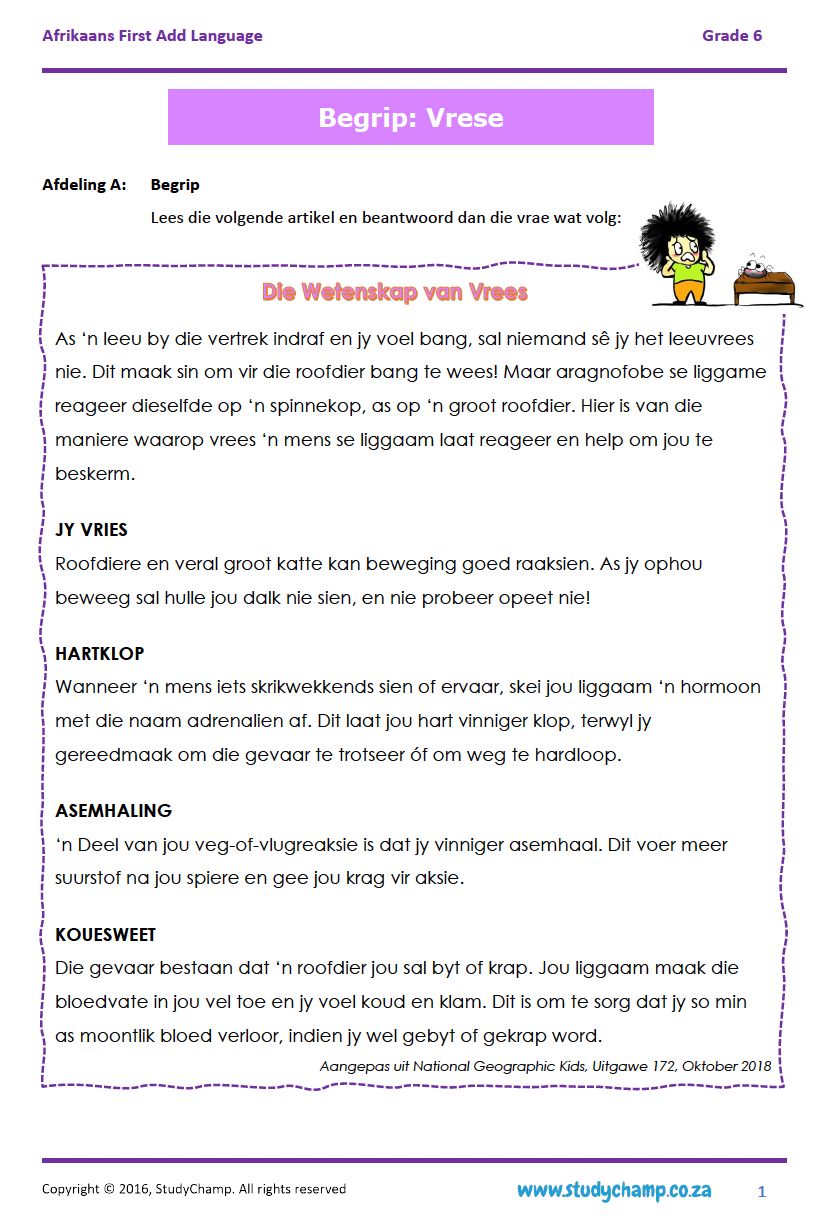 Grade 6 Afrikaans Begrip en Taal: Vrese