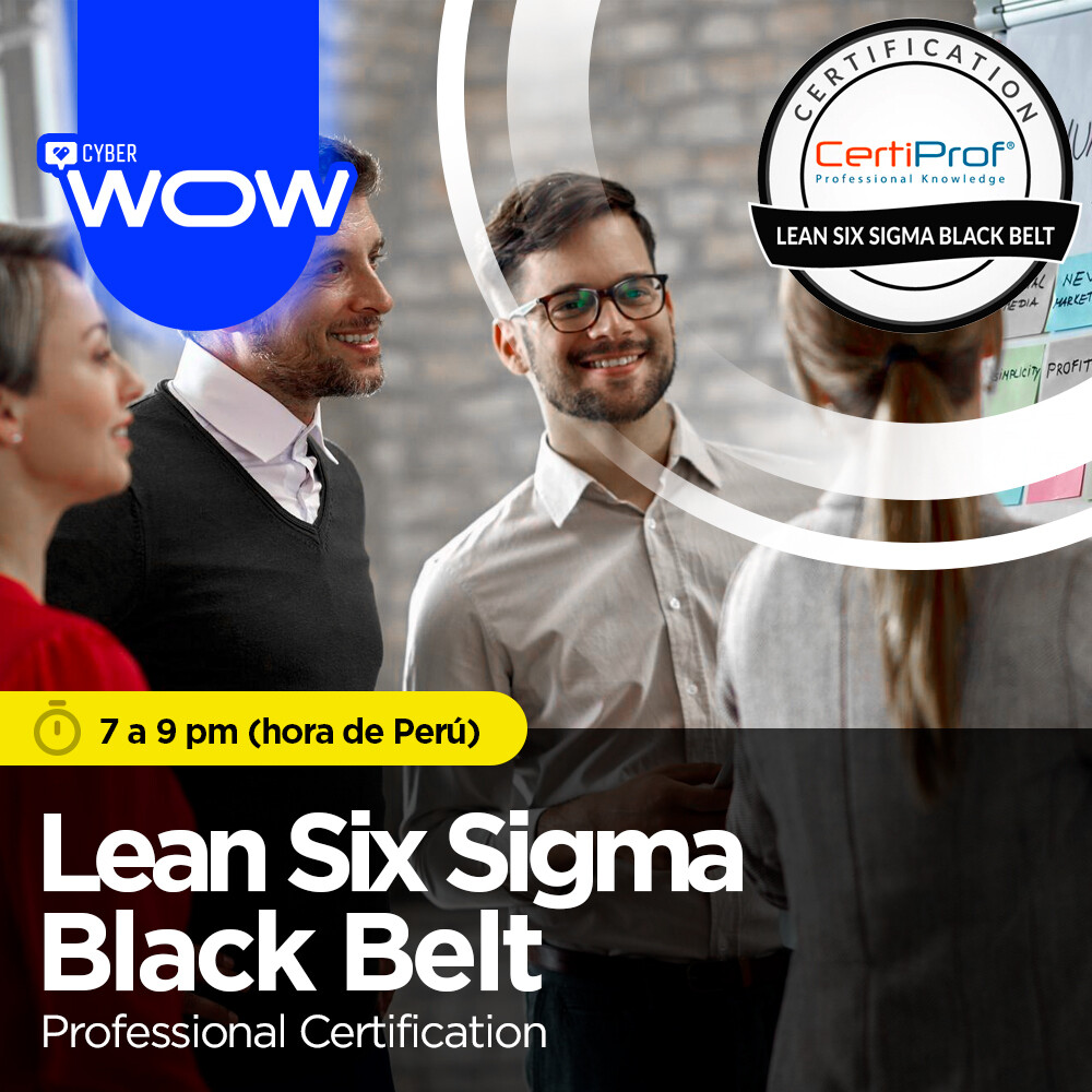 Lean Six Sigma Black Belt Professional Certification