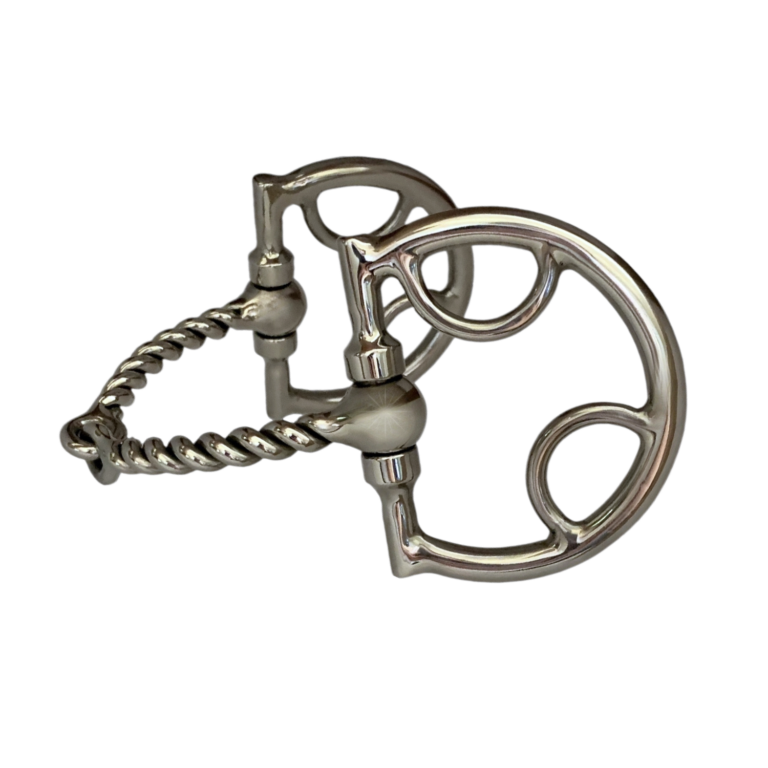 D Ring with Headstall and Rein Rings