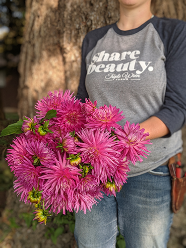 Bloomquist Be Still Dahlia Tuber – Store – Triple Wren Farms