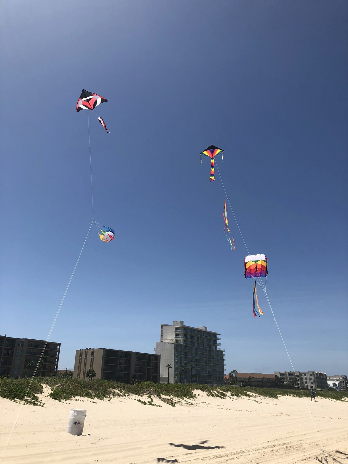 Kites - A Kite Review on one of our Favorite Single Line Delta Kites.