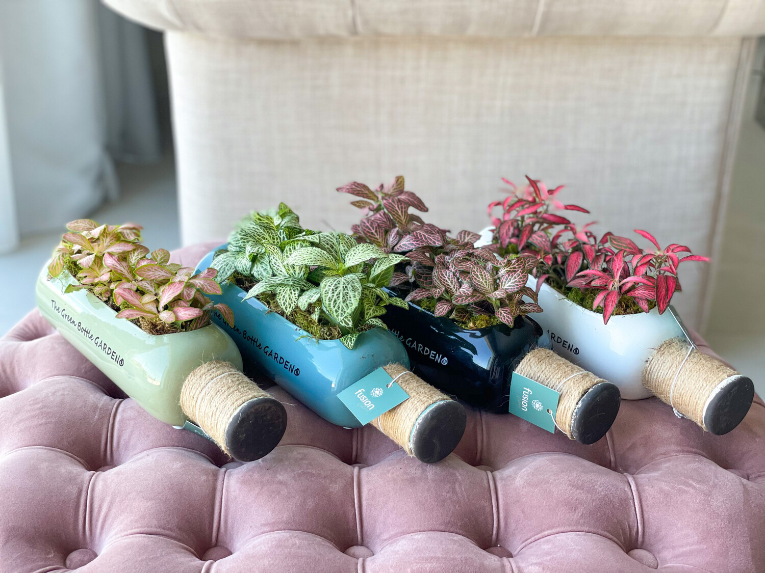 Flowers by Phyllis | Online Shop