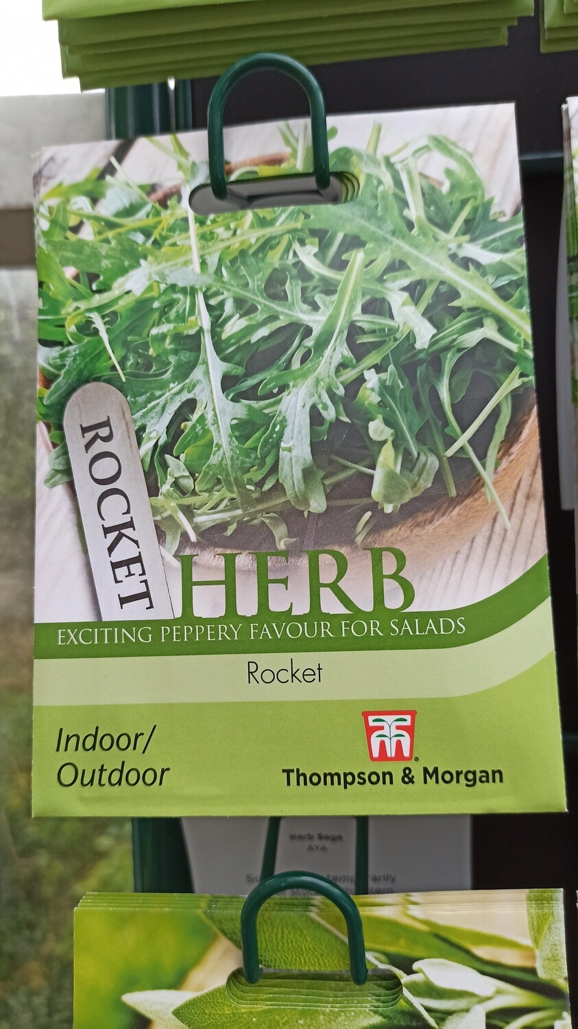 Herb - Rocket