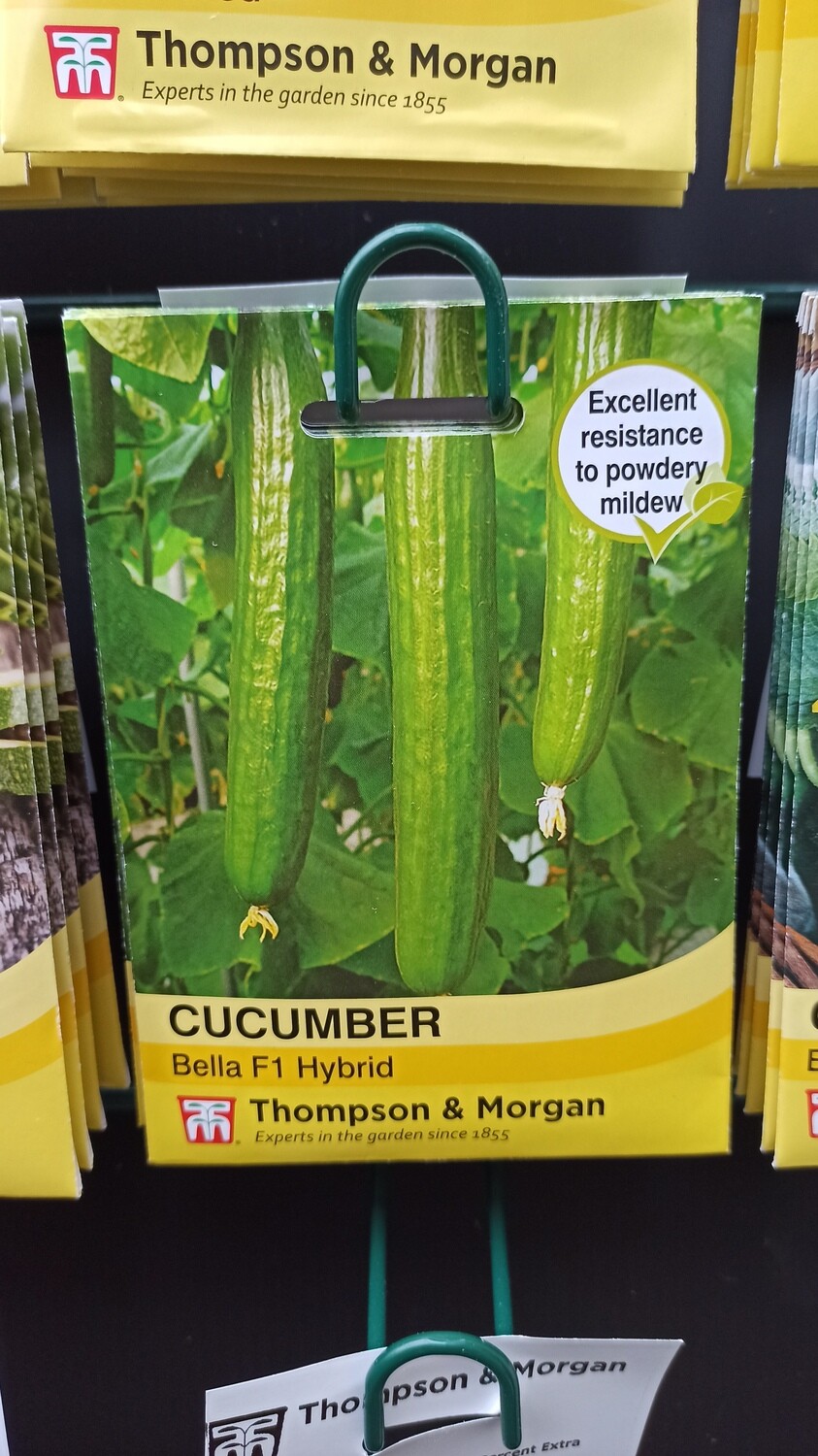 Cucumber Bella F1 Hybrid
