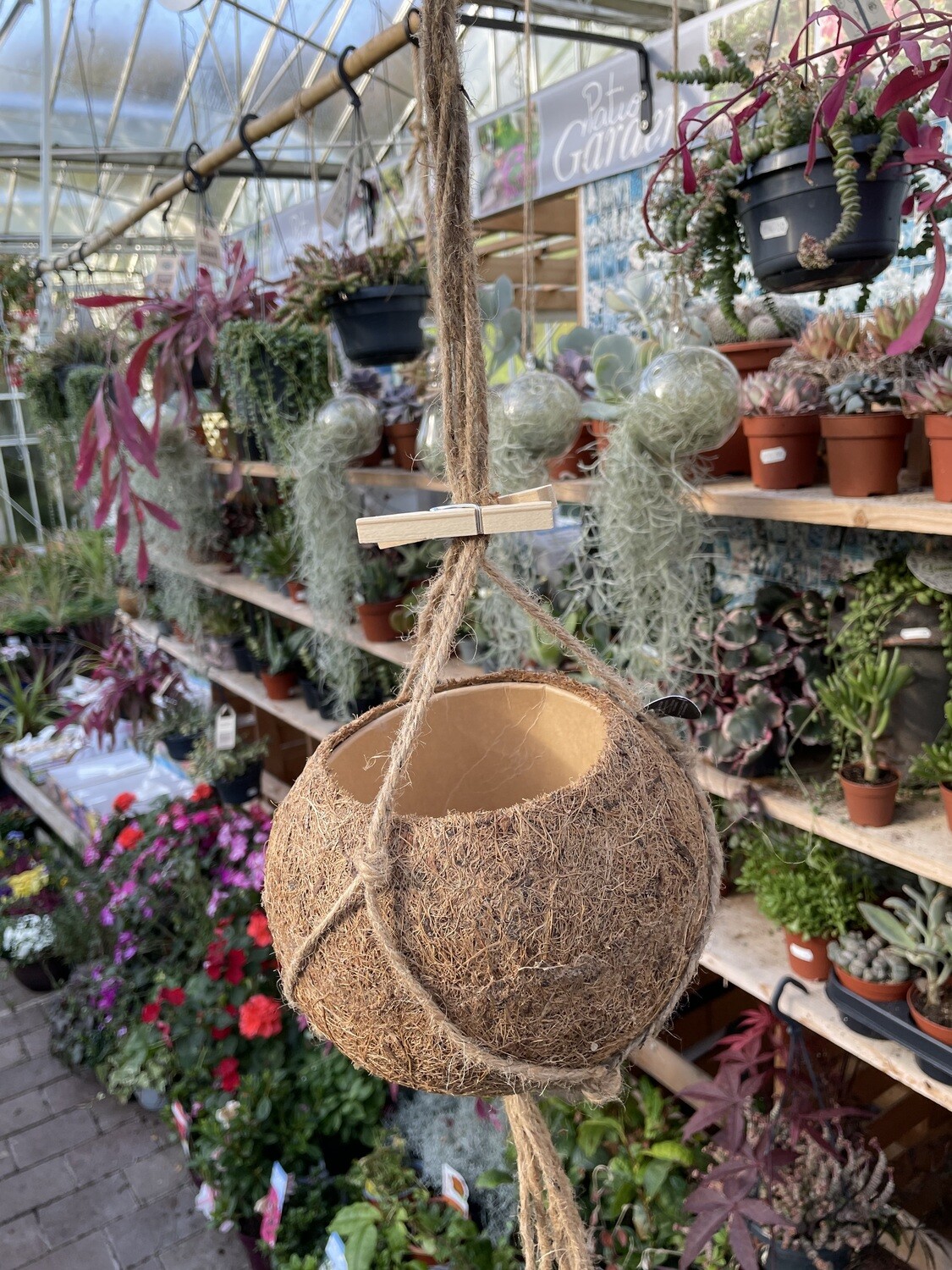 Hanging Kokodama Pot