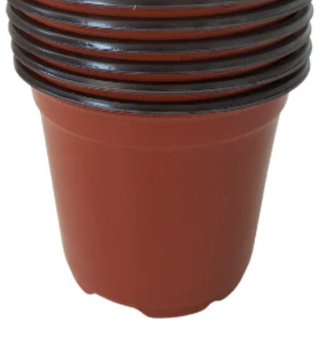 10 Pots 13 Cm Diameter