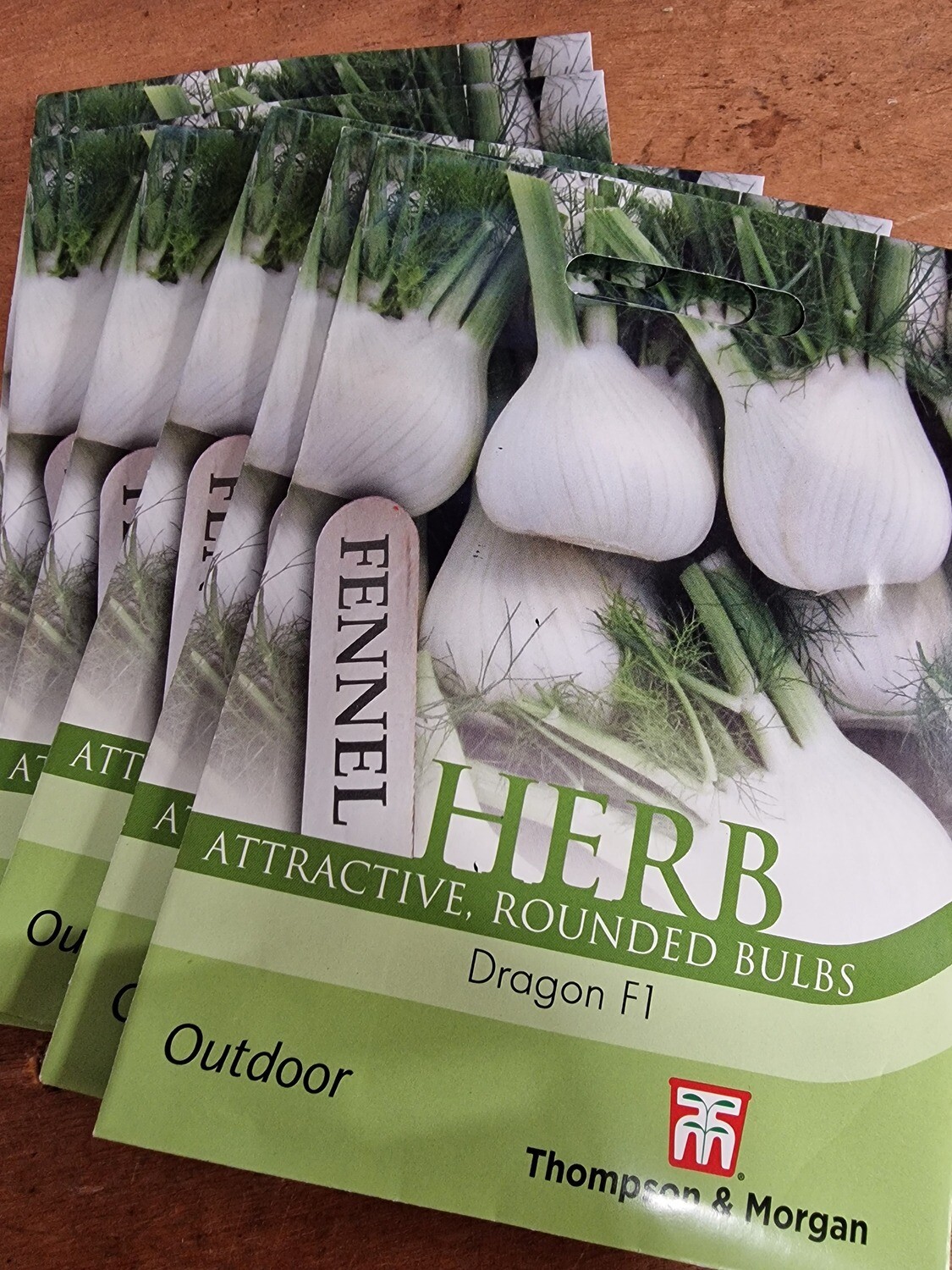 HERB - FENNEL-Dragon