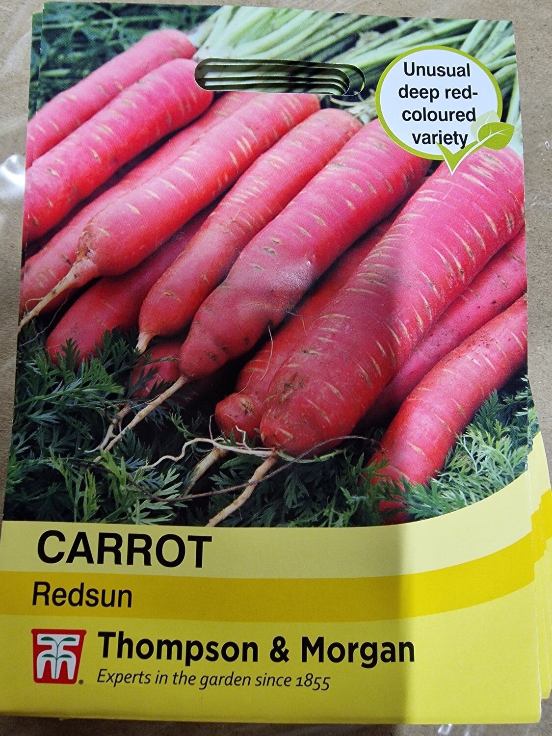 CARROT - REDSUN