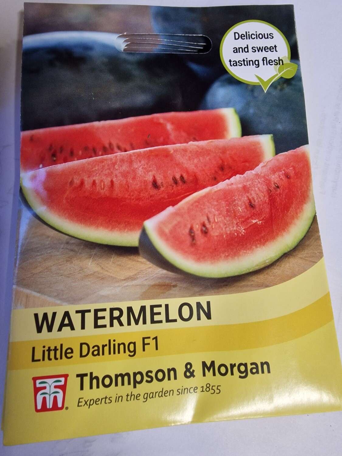 WATERMELON - Little Darlin