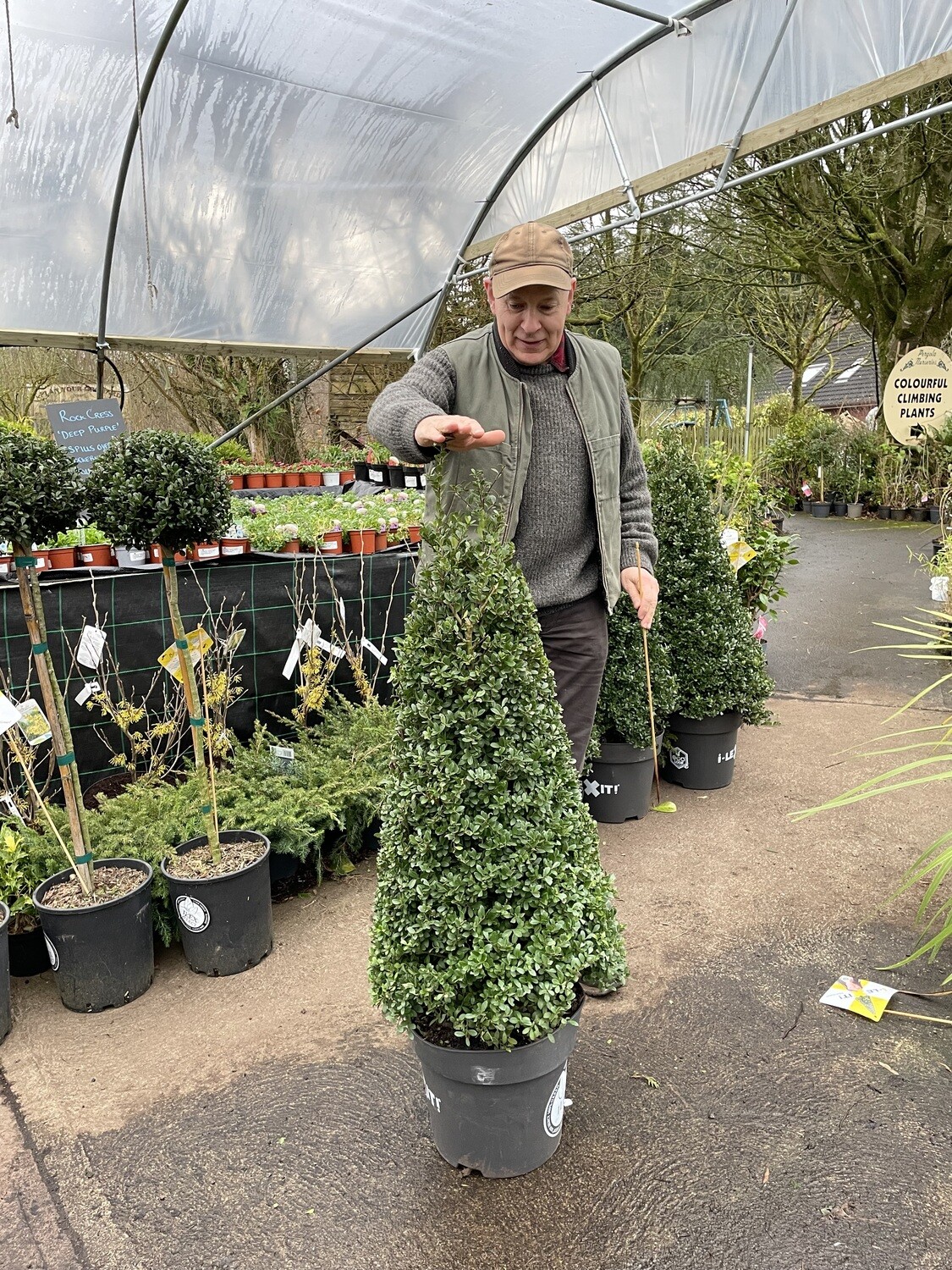 Holly Box Pyramid (XL)