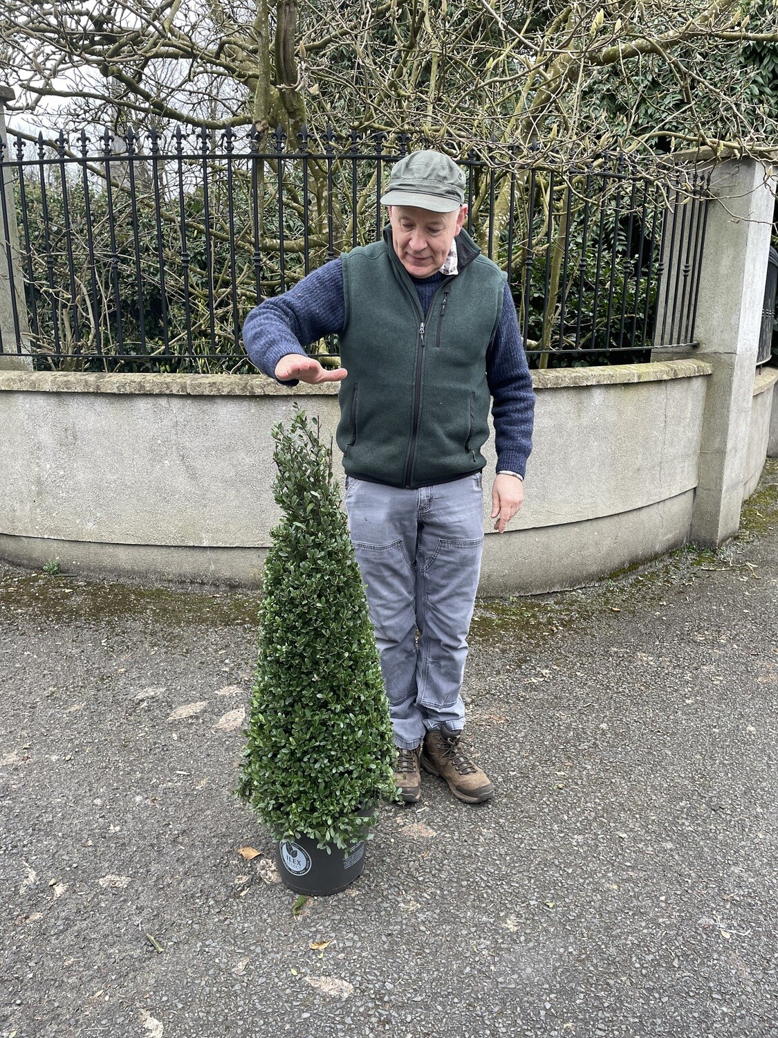 Holly Box Pyramid (LARGE)