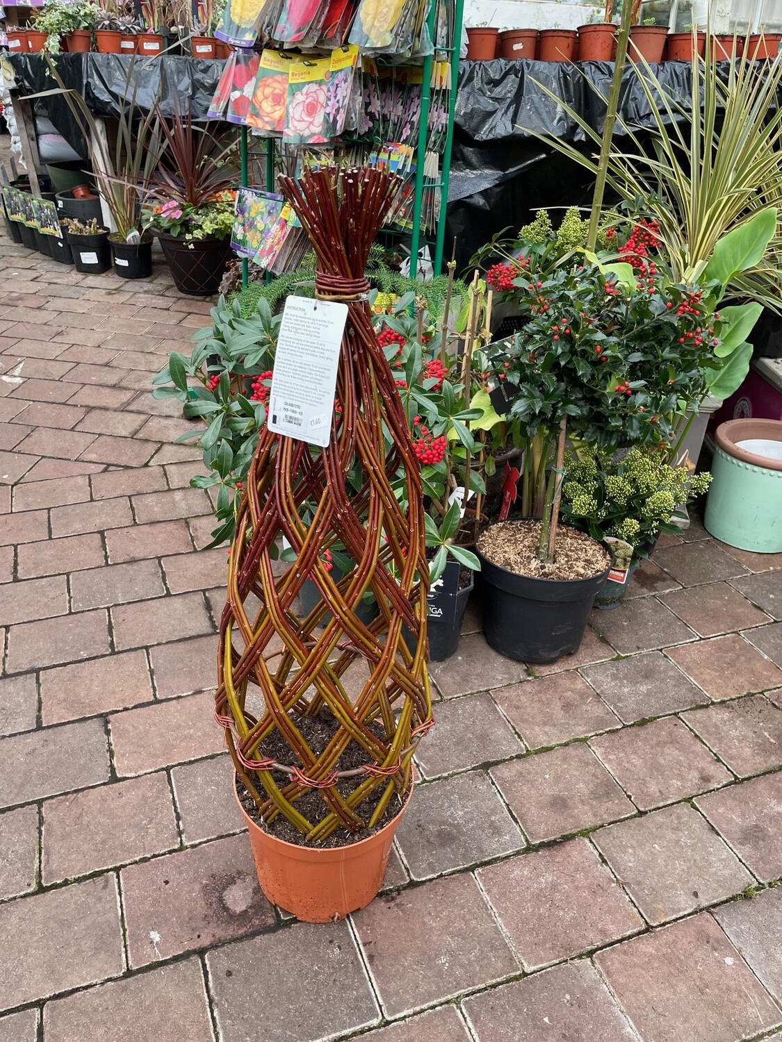 Lattice Braided Willow - The Gherkin