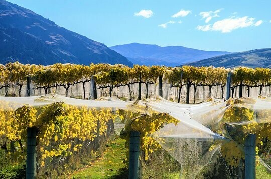 NEW ZEALAND Central Otago | Wine & Gourmet Shop, Jamoneria Restaurant ...