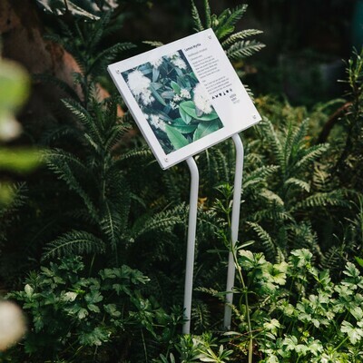 Bush Food & Kitchen Garden signs - Edible Eden Design - Store