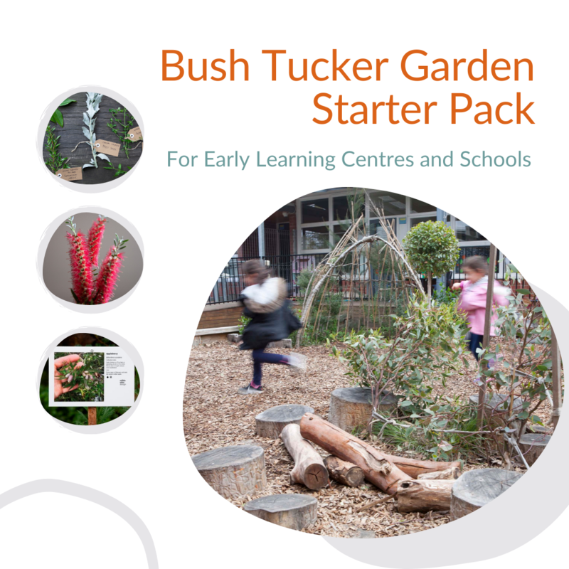 Bush Tucker Garden Starter Pack for ELC and schools