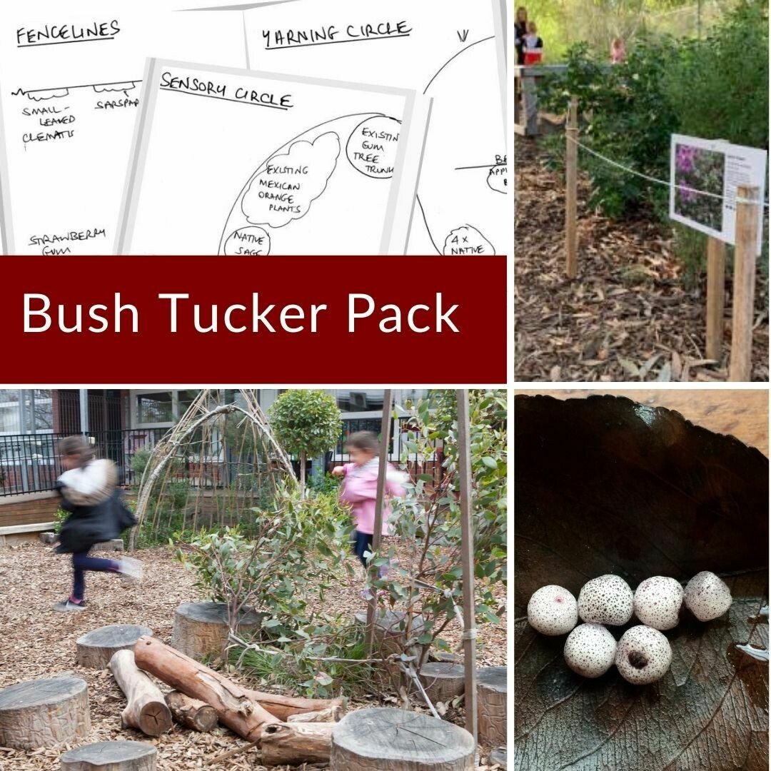 Bush Tucker Garden Pack