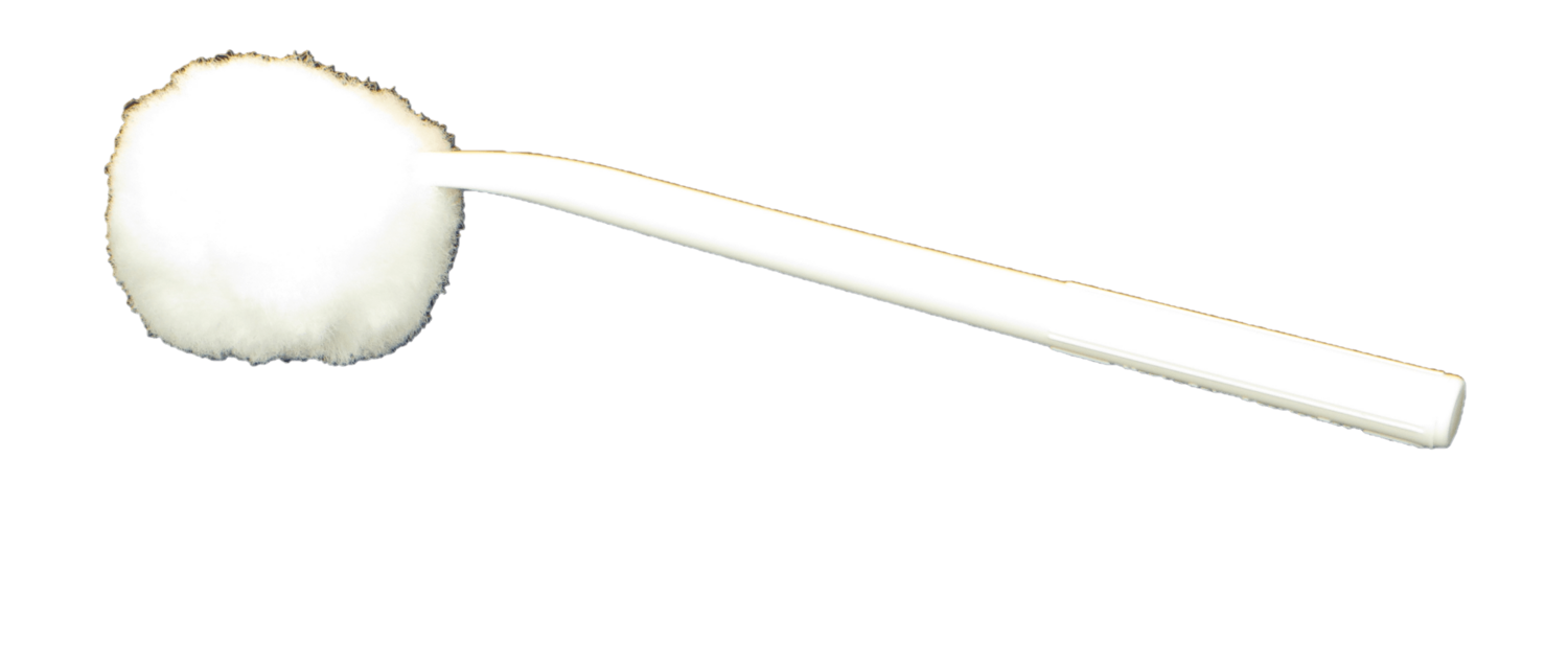 Toilet Bowl Swab