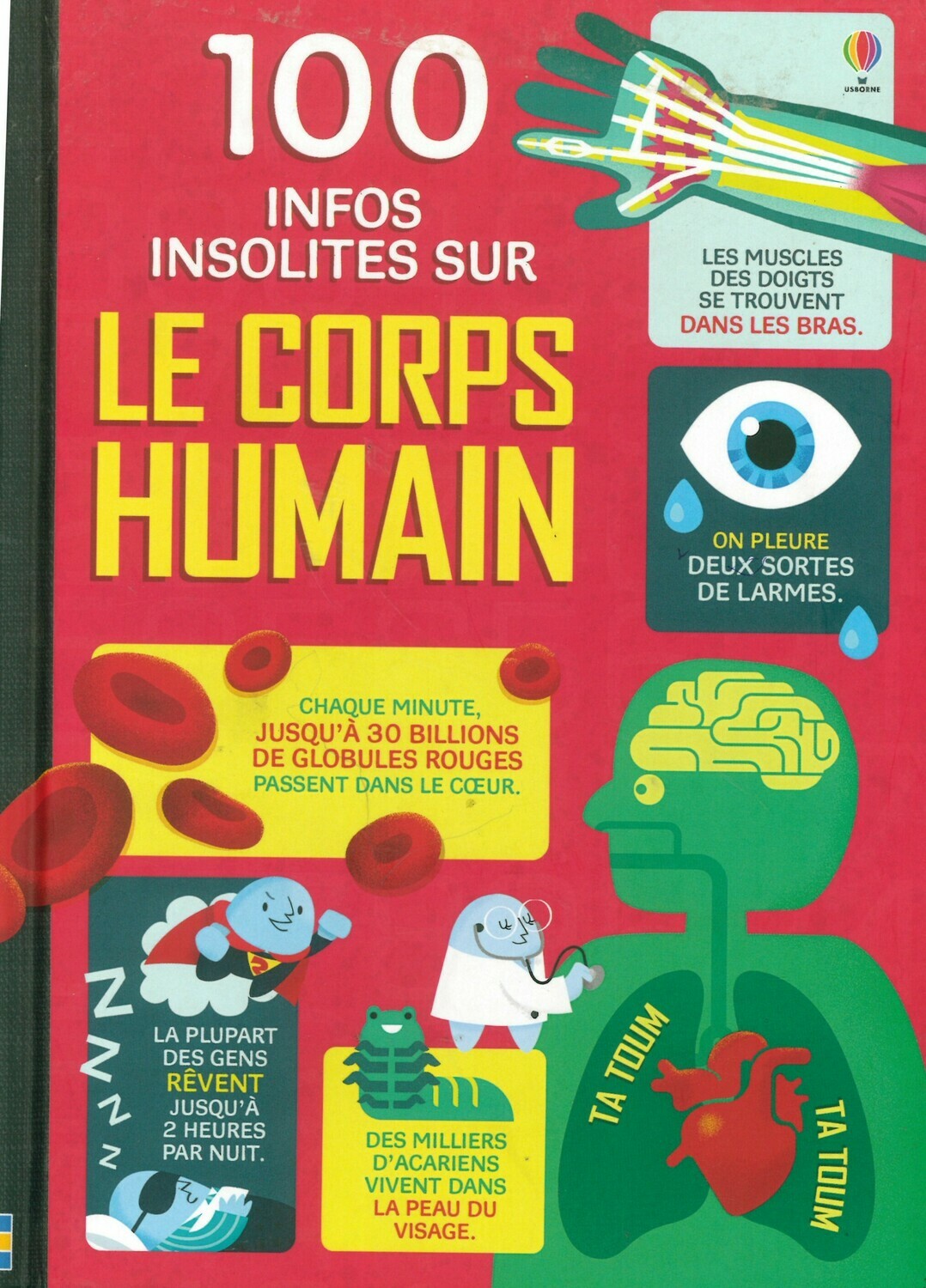 LE Corps Human