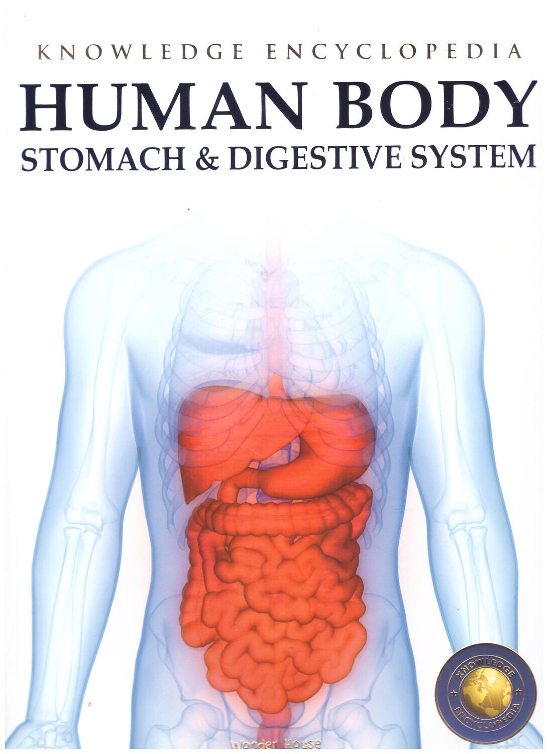 Human body stomach& digestive system