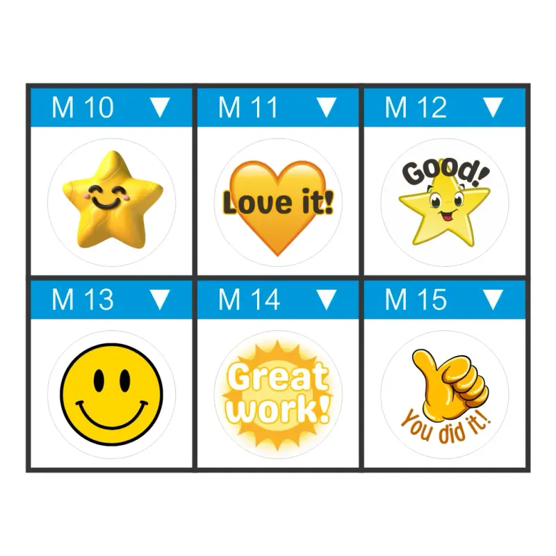 Smiley & Star Reward Stickers – 12 Per Sheet – Happy Emoji Praise for Kids