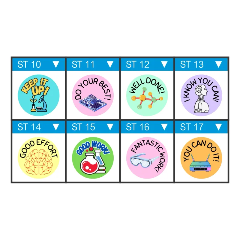 STEM Reward Stickers for South African Classrooms – 12 per Sheet